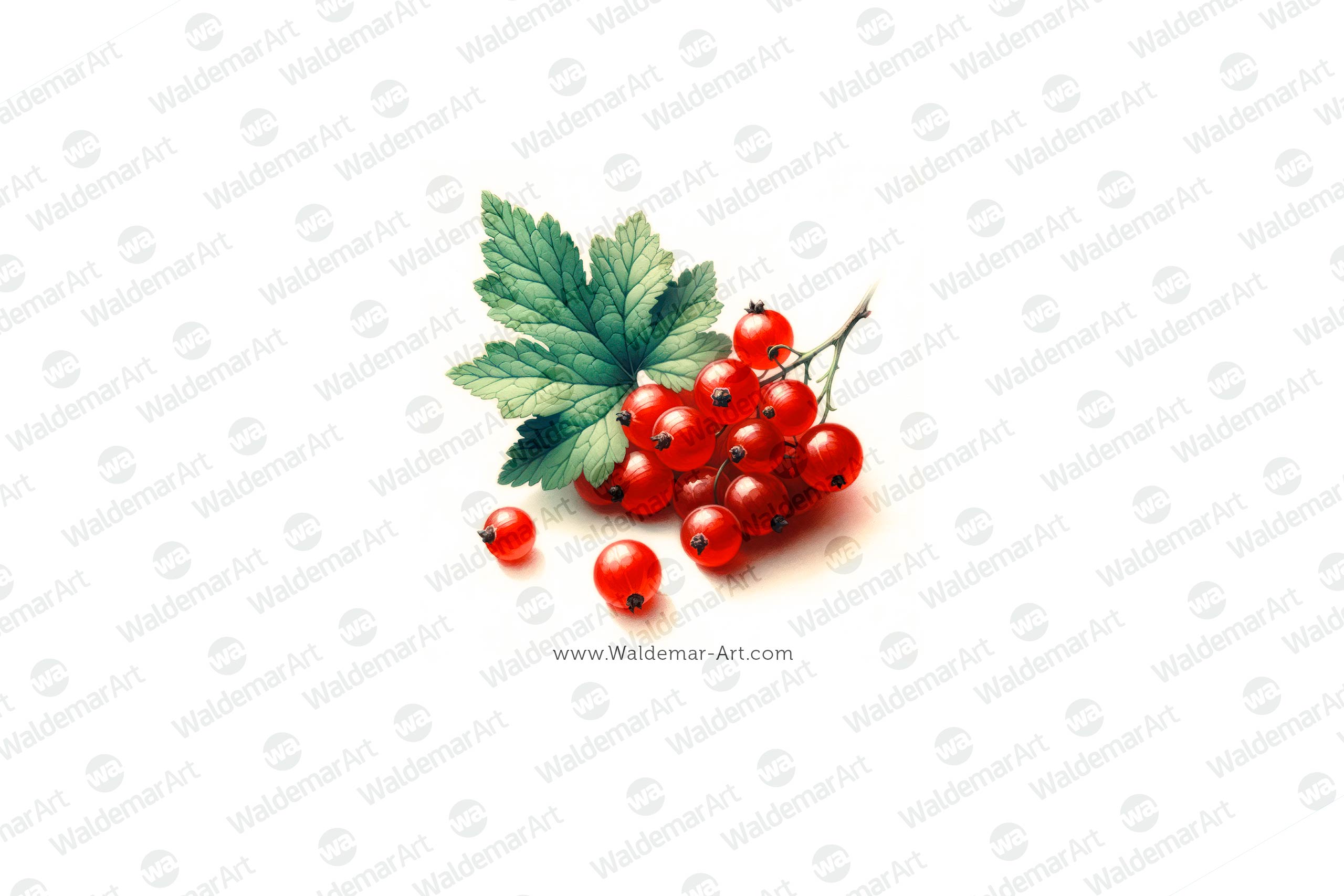 Premium Watercolor Illustration of Red currant twig with a medium-sized ...