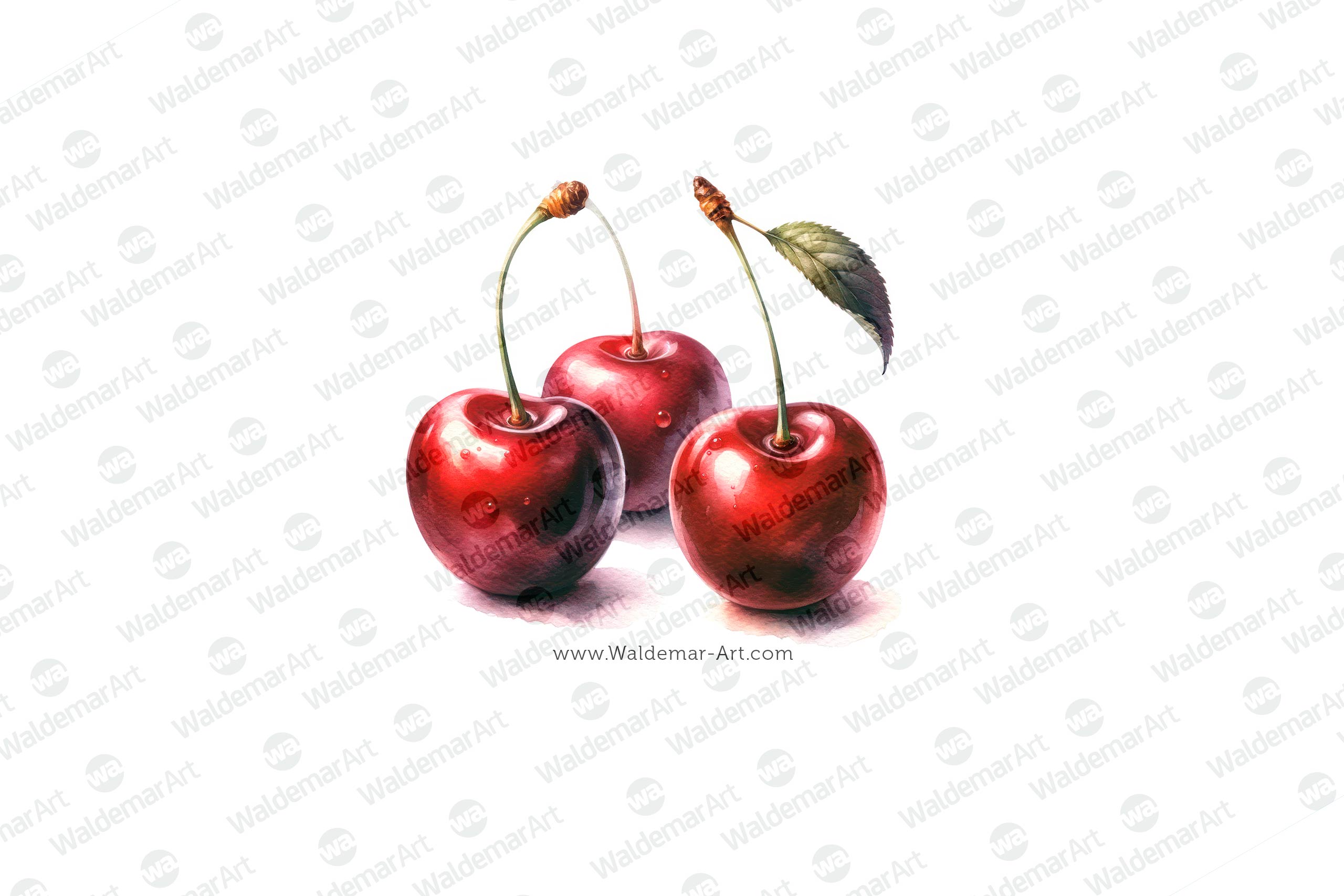 Premium Digital Watercolor Illustrations featuring three cherries on a ...