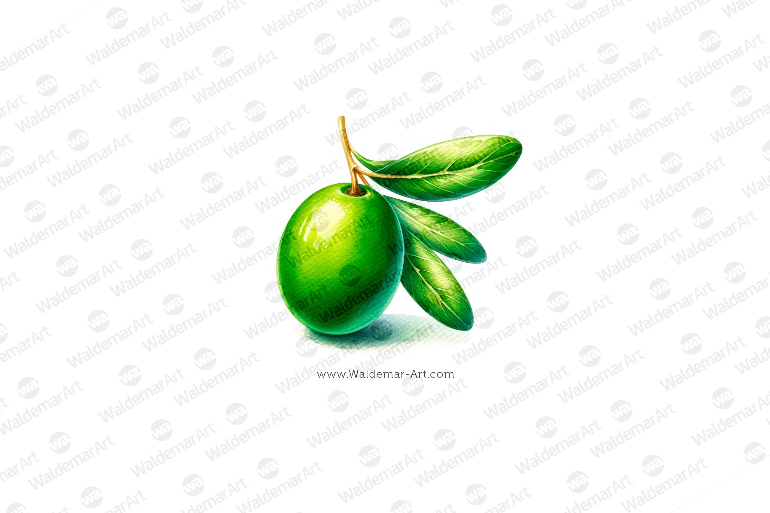 Premium Digital Watercolor Illustration with a single green olive and a ...