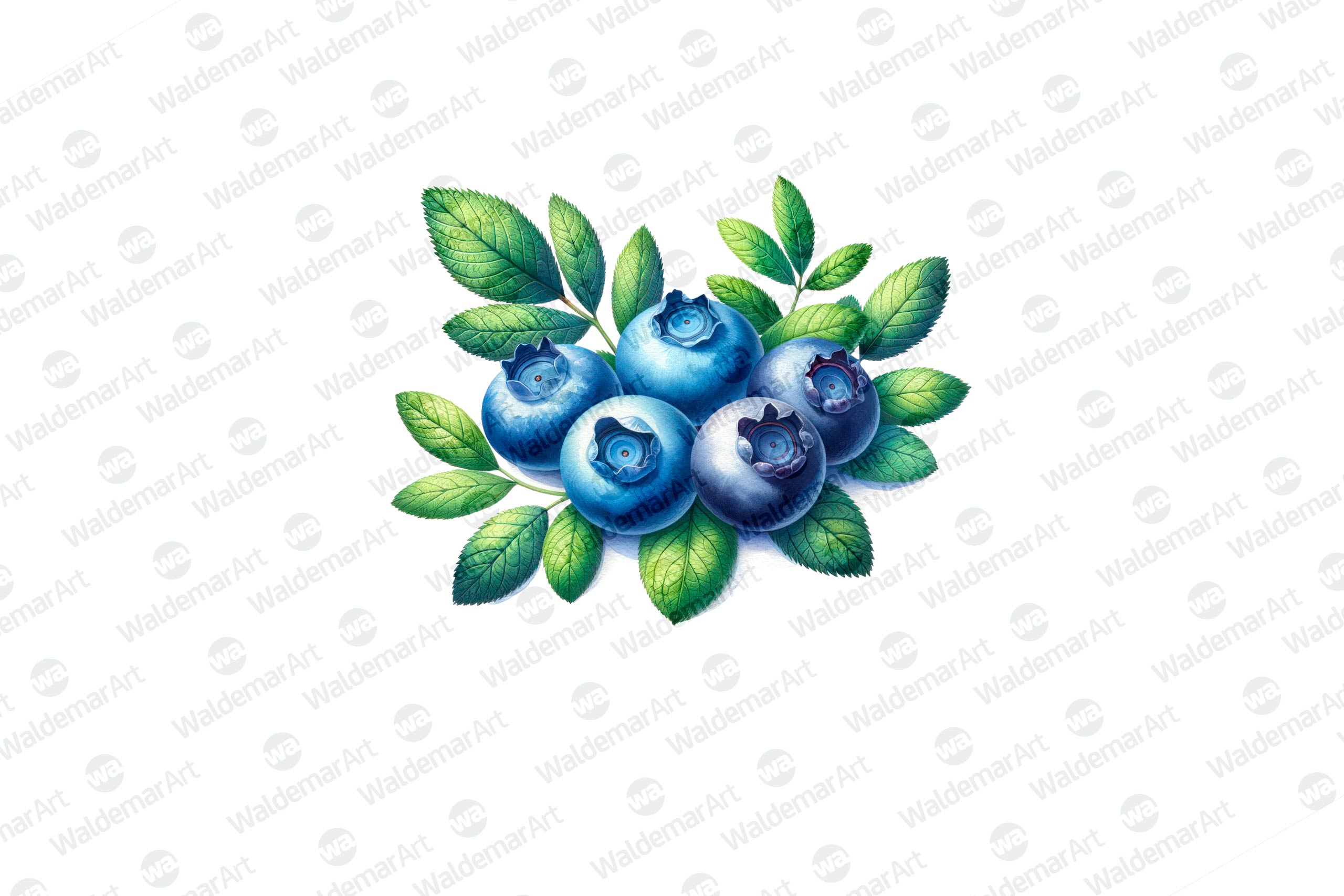 Premium Digital Watercolor Illustration of five blueberries with added ...