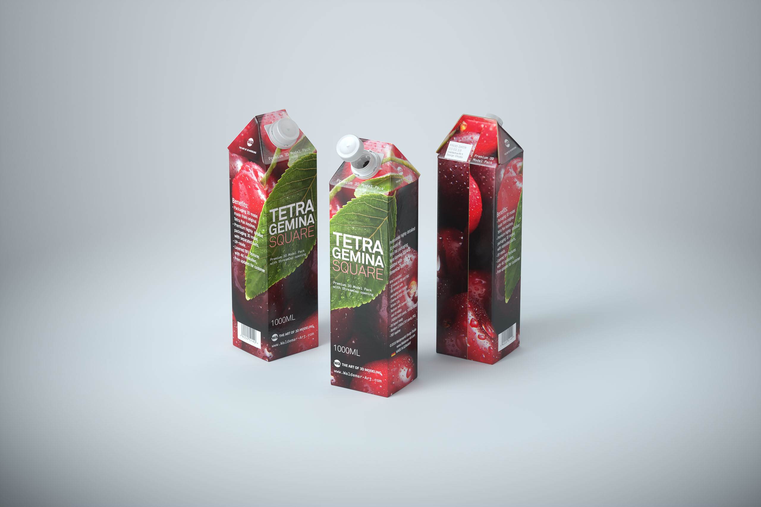 Premium Packaging 3d model pak of Tetra Pack Gemina Square 1000ml with ...
